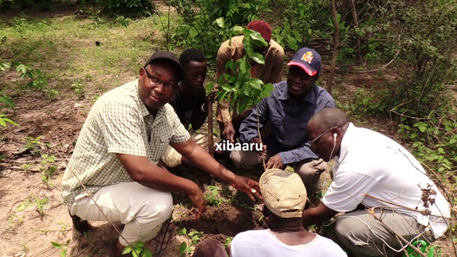 Bignona : Le conseil départemental et ses partenaires misent
