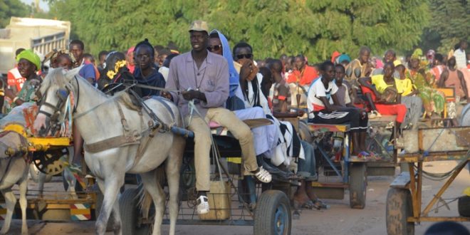 Sénégal...Les charrettes désormais soumis à la visite technique - Xibaaru