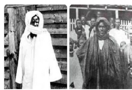 "Mame Cheikh Ibra Fall s’est distingué dans de multiples facettes ...