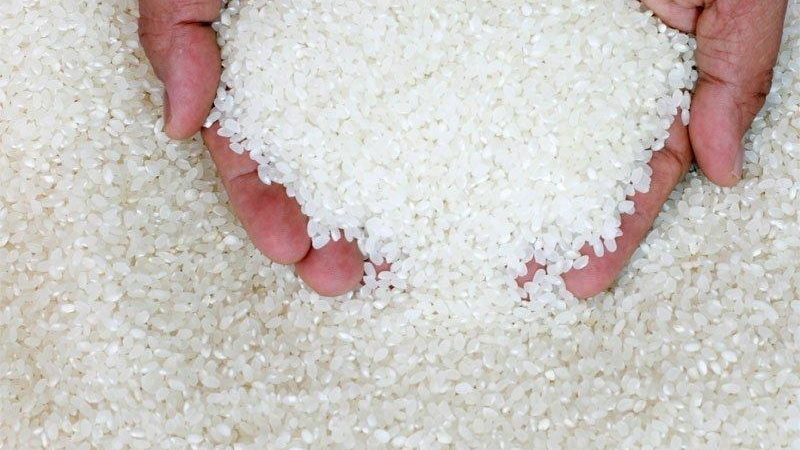 Sénégal...le kilogramme de riz connaît une hausse, selon - Xibaaru